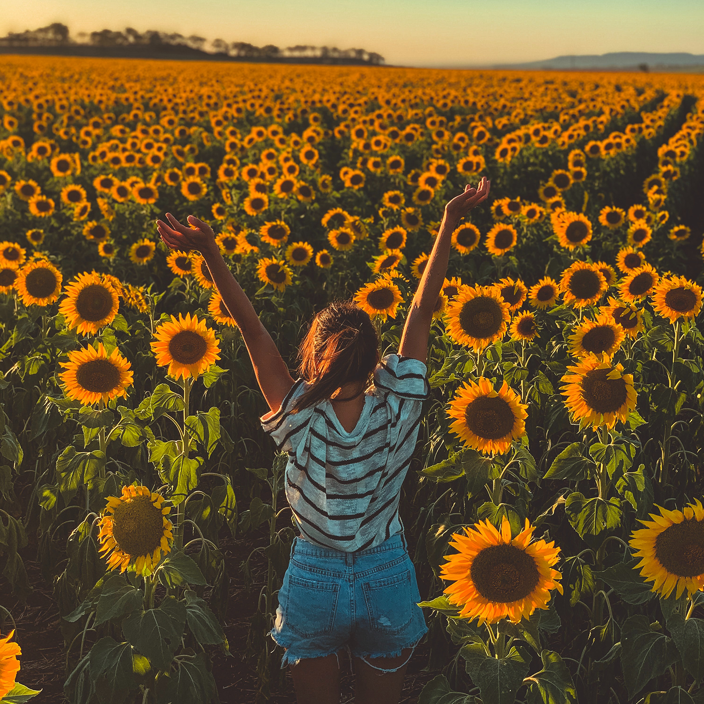 Melodic Progressive Vocals - Playlist | DI.FM