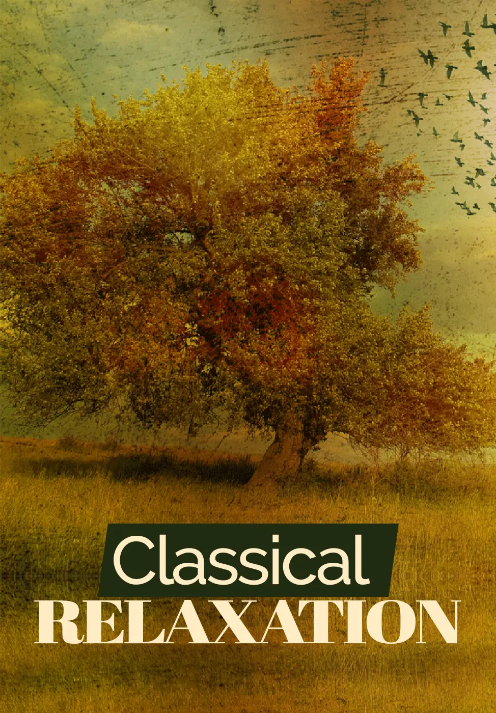 Relaxing Piano Music - ClassicalRadio.com